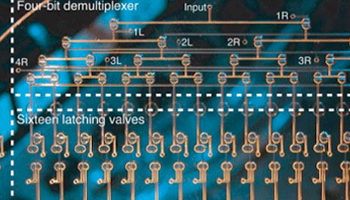 Pneumatic Latching Valve - Microfluidic Circuit | Flow Science Blog